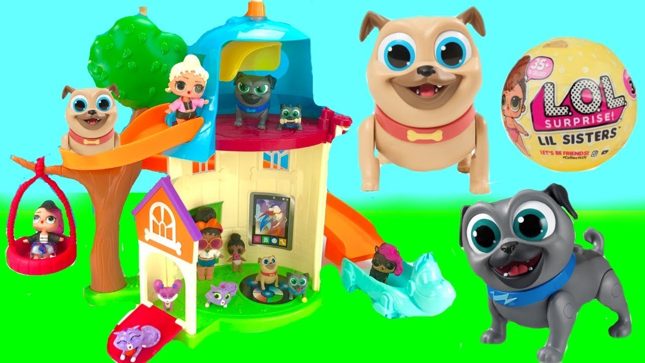 Introducing The Collie Dog - Bindi Paws